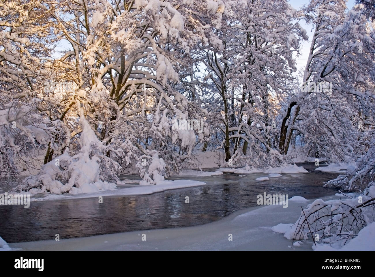 The river Nethy in winter with snow lying Stock Photo - Alamy