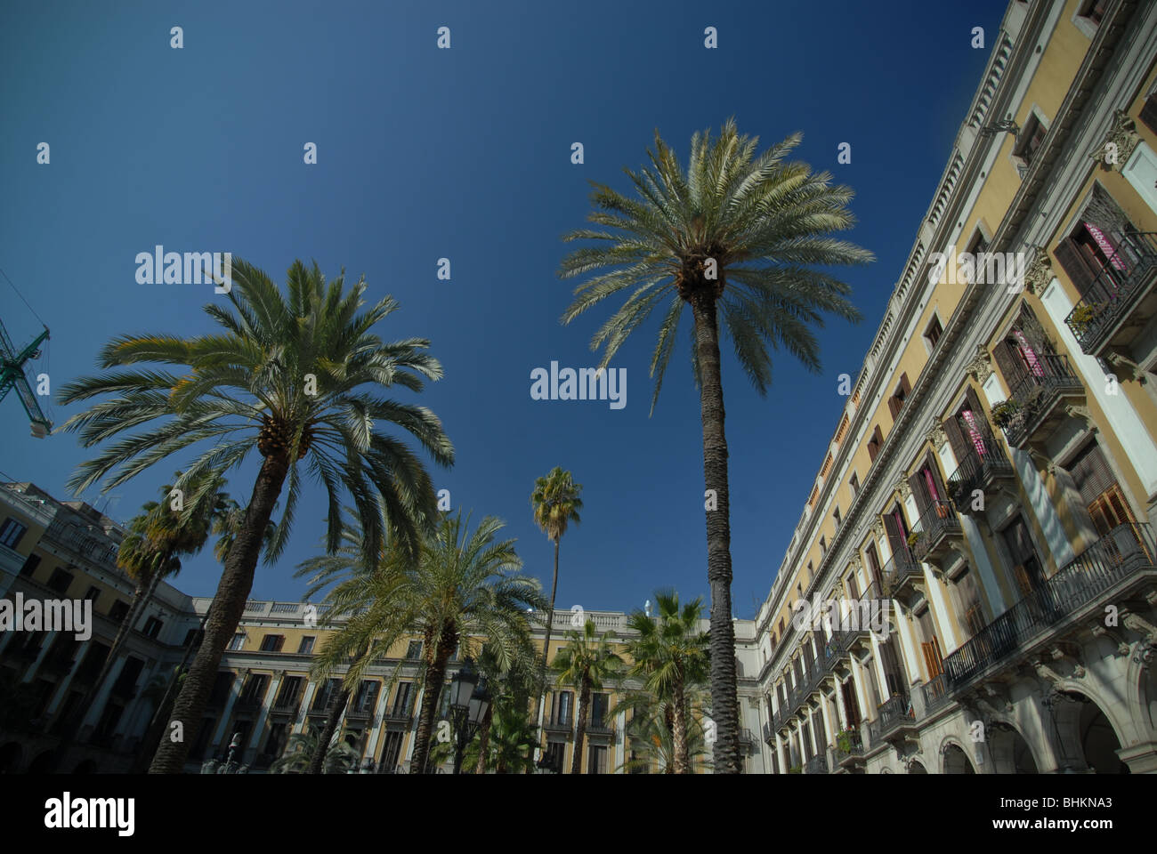 Placa Real, Barcelona, Spain Stock Photo - Alamy