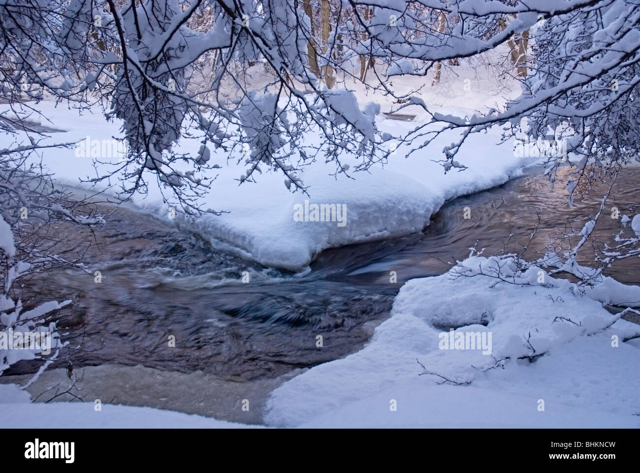 The river Nethy in winter with snow lying Stock Photo - Alamy
