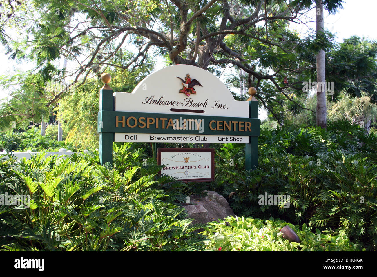 Anheuser busch budweiser hi-res stock photography and images - Alamy