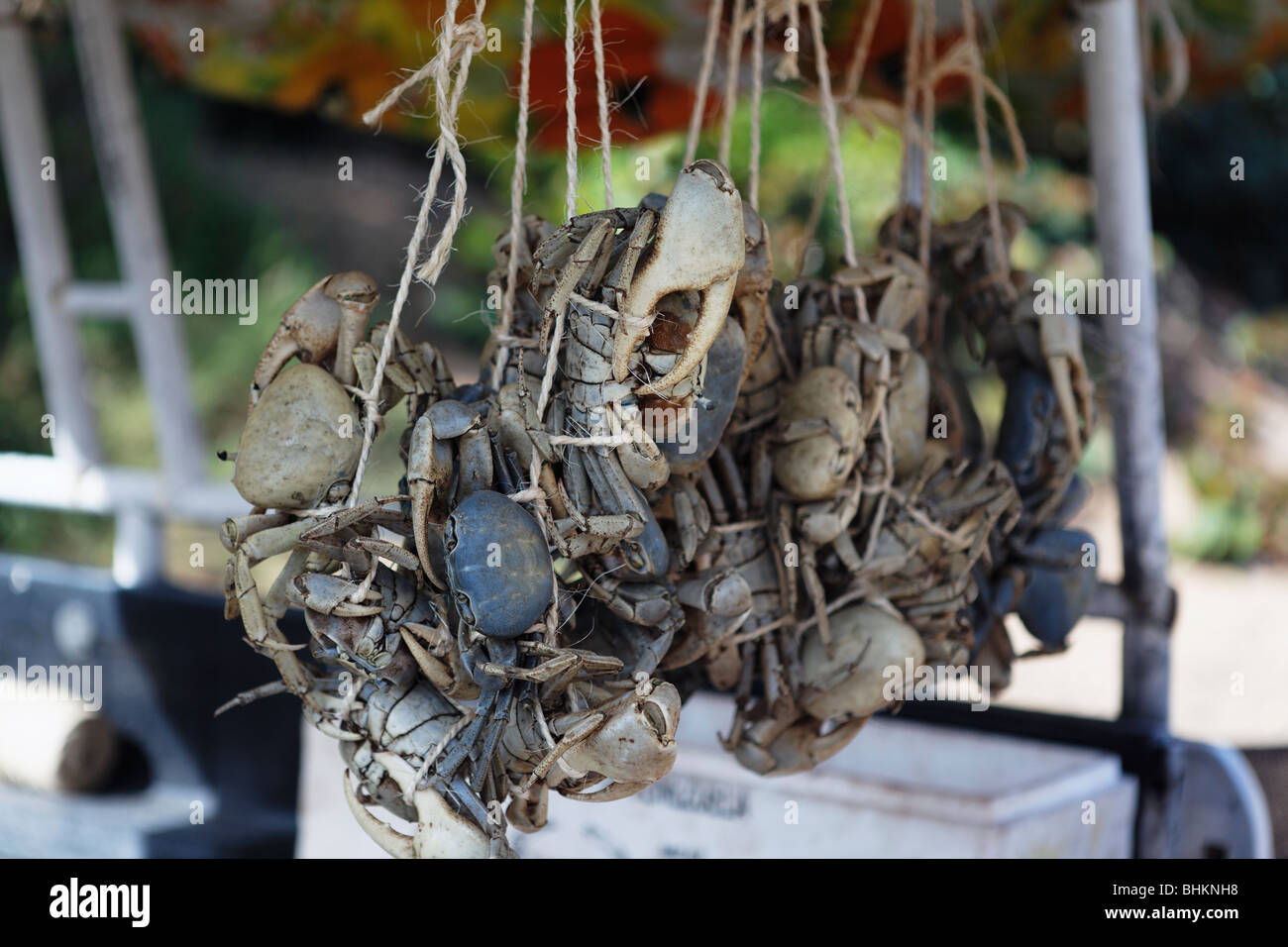 Puerto rico food market hi-res stock photography and images - Alamy