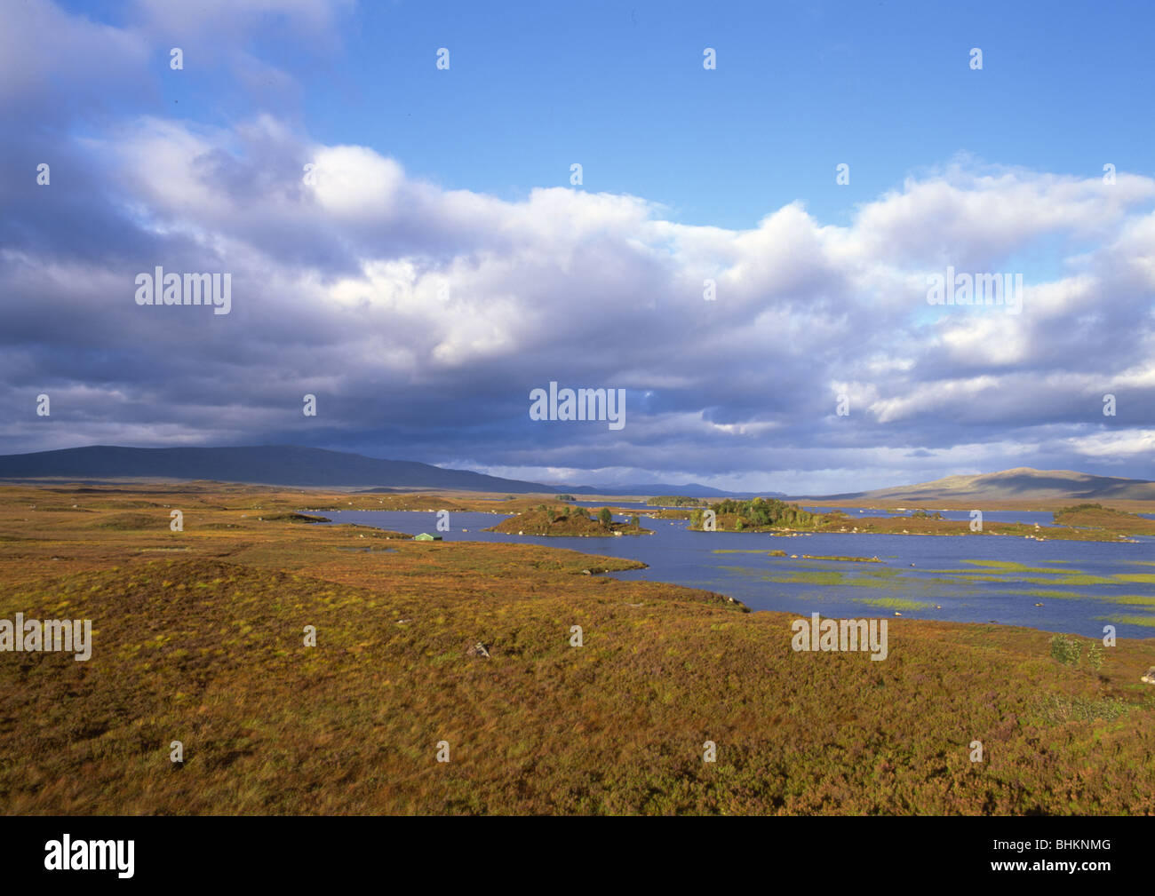 Magnificent moorland hi-res stock photography and images - Alamy