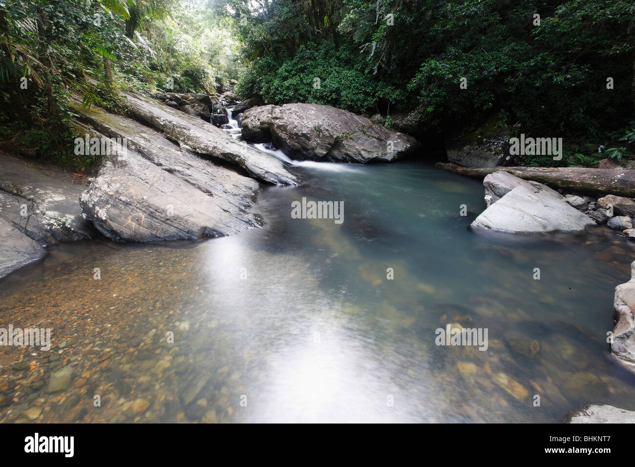 Creek in El Yunque Rainforest along the La Mina Trail, Puerto Rico ...