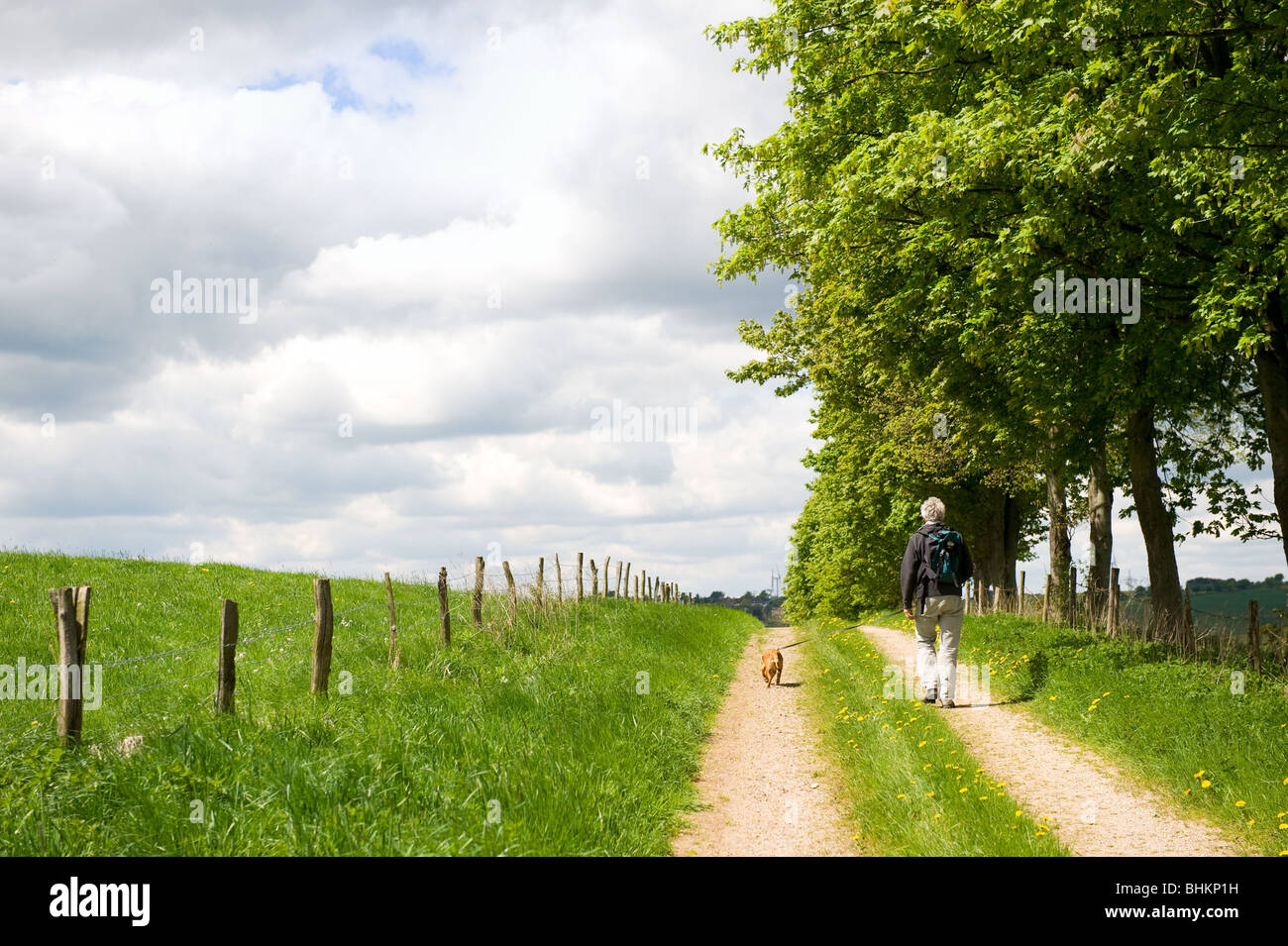 Walking with the dog in nature landscape Stock Photo - Alamy