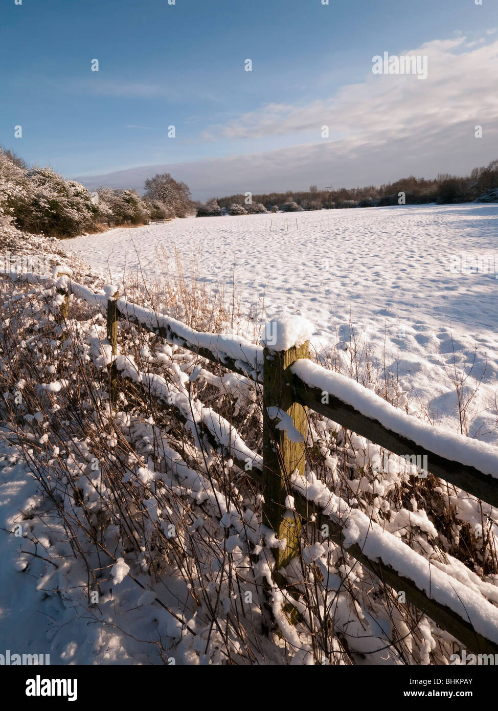 snow. snowy cold winter wintry frost frosty freezing covering covered ...