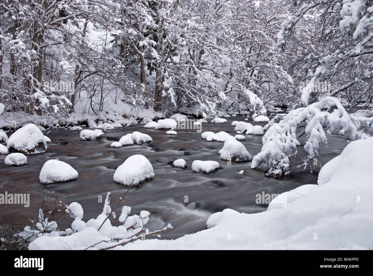 The river Nethy in winter with snow lying Stock Photo - Alamy