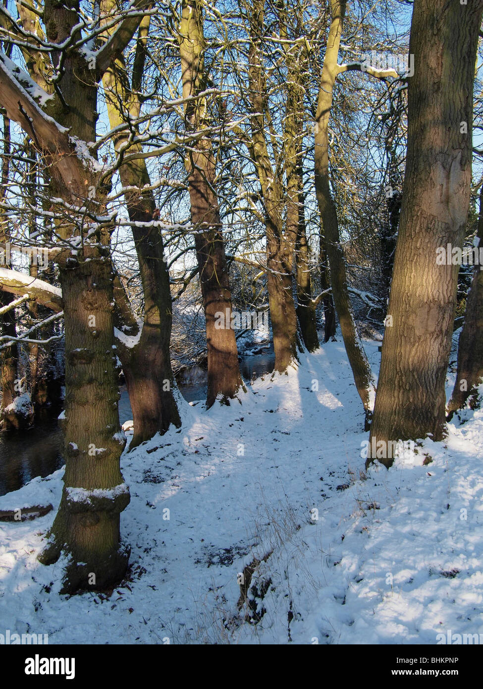 A snow covered rural landscape in the countryside Stock Photo - Alamy