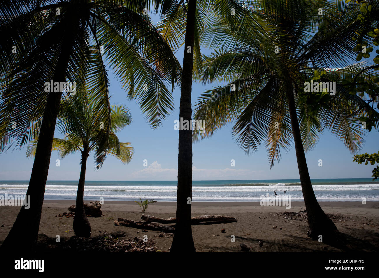 Matapalo Beach, Puntarenas, Costa Rica Stock Photo - Alamy