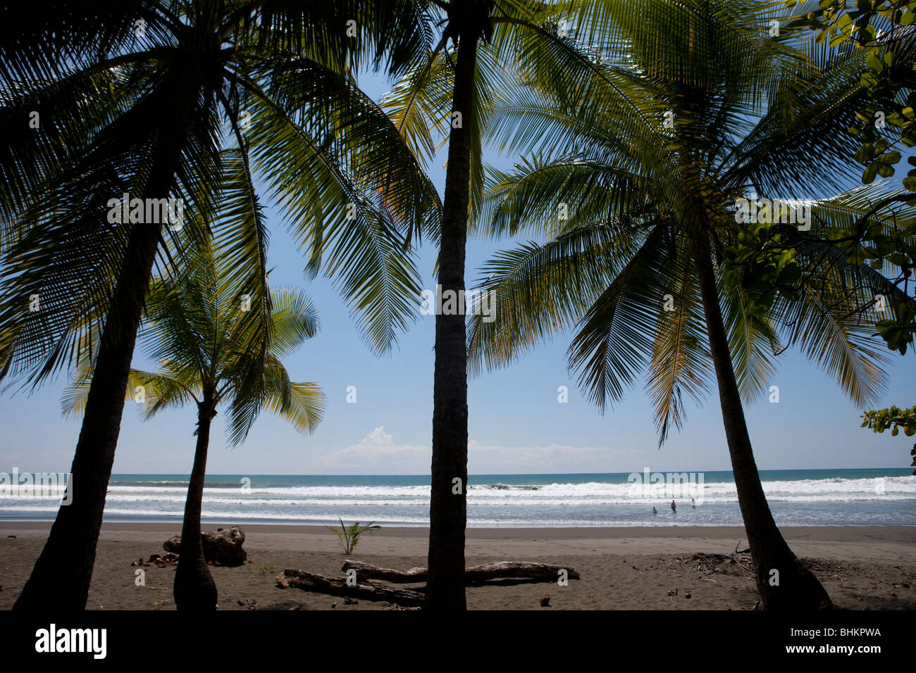 Matapalo Beach, Puntarenas, Costa Rica Stock Photo - Alamy