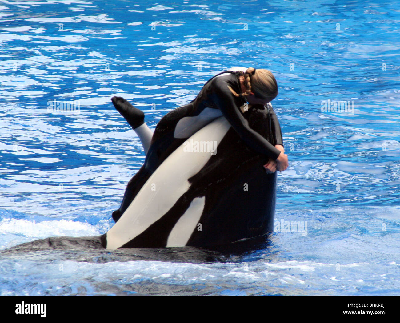 Killer Whales Stock Photos & Killer Whales Stock Images - Alamy