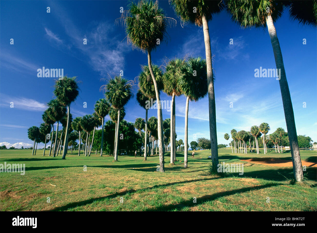Punta Borinquen Golf Course and Country Club, Aguadilla, Puerto Rico ...