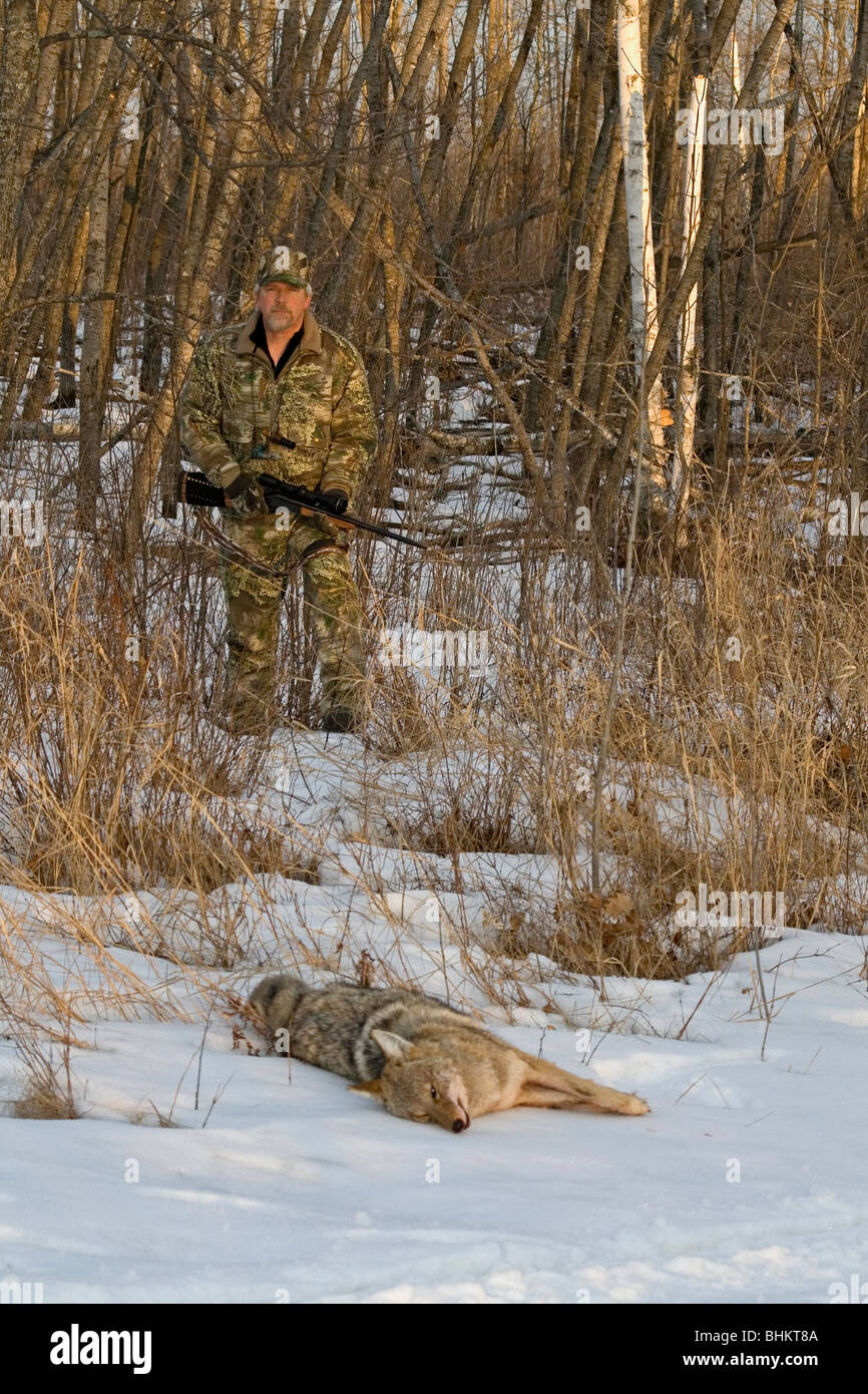 Coyote pose hi-res stock photography and images - Alamy