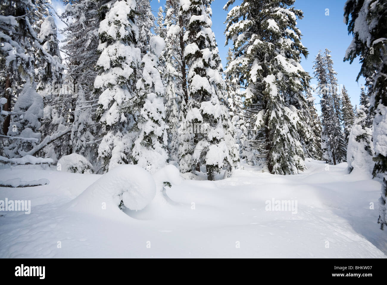 Scottish Lakes High Camp - Alpine Lakes Wilderness, Central Cascade ...