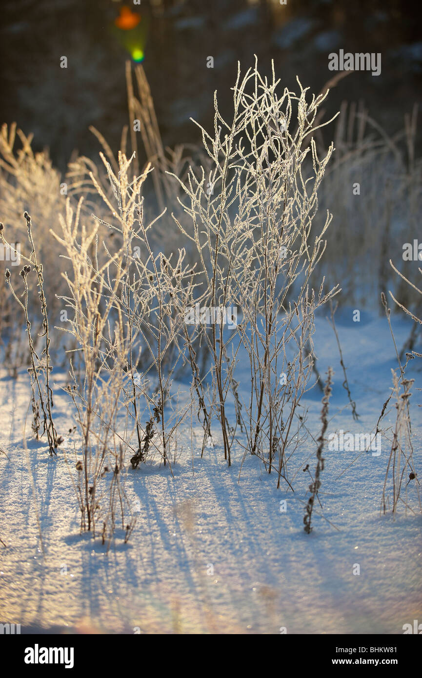 Moon dispersion hi-res stock photography and images - Alamy