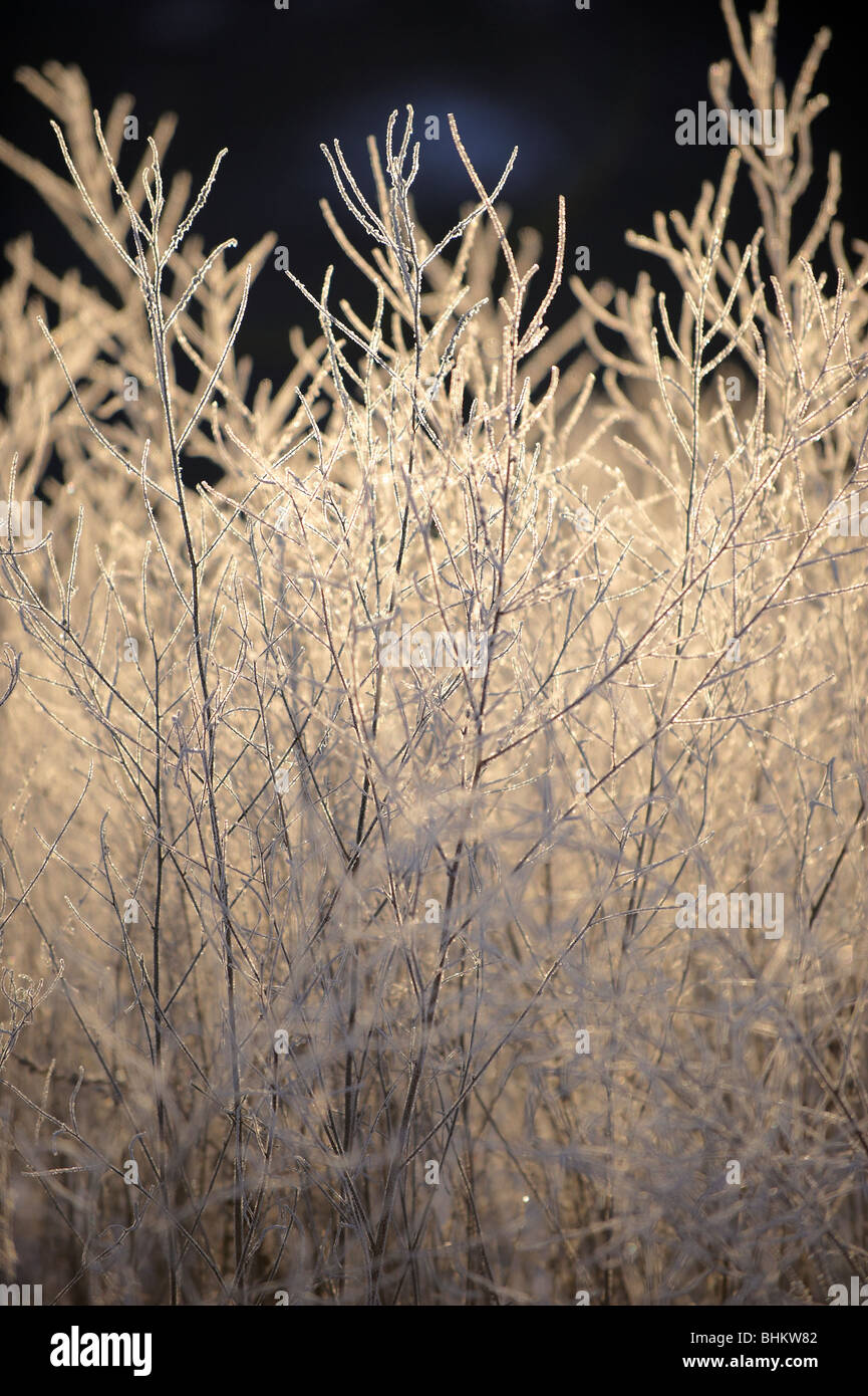 Moon dispersion hi-res stock photography and images - Alamy