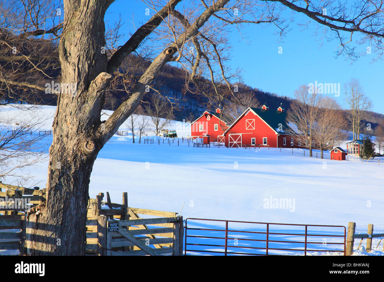 Alleghany County Stock Photos & Alleghany County Stock Images - Alamy
