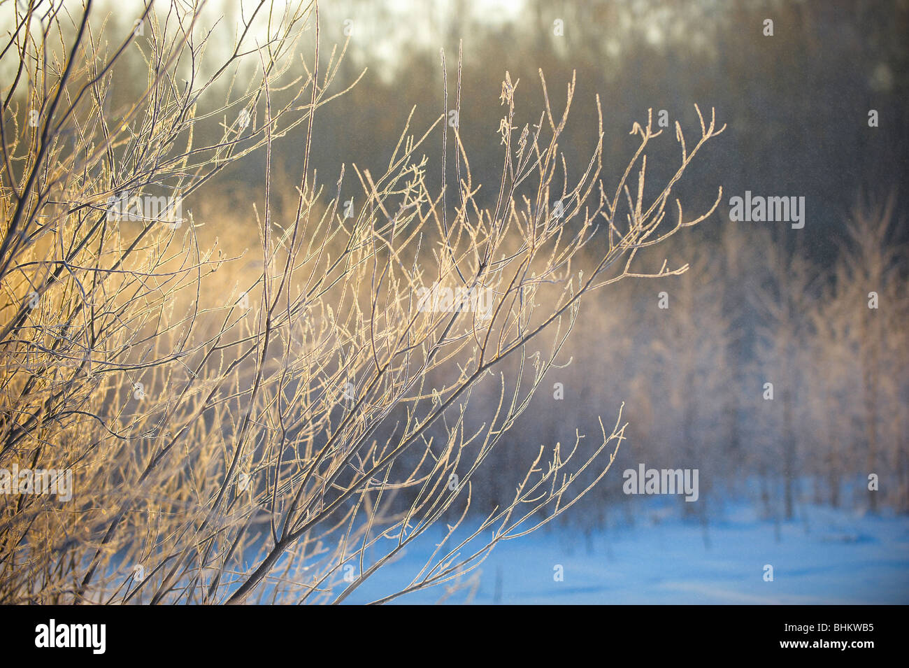 Moon dispersion hi-res stock photography and images - Alamy