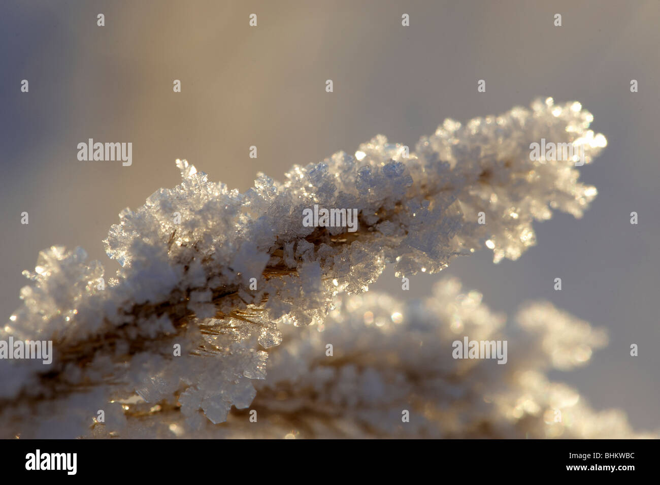 Moon dispersion hi-res stock photography and images - Alamy