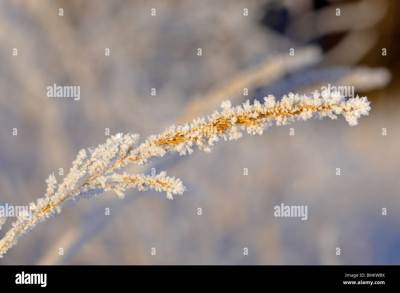 Moon dispersion hi-res stock photography and images - Alamy