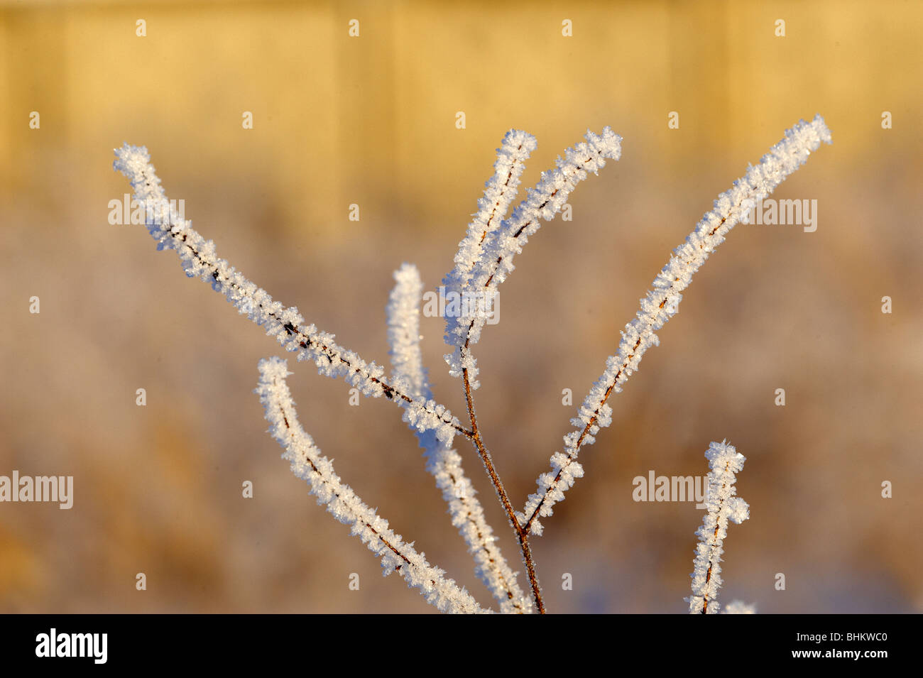 Moon dispersion hi-res stock photography and images - Alamy