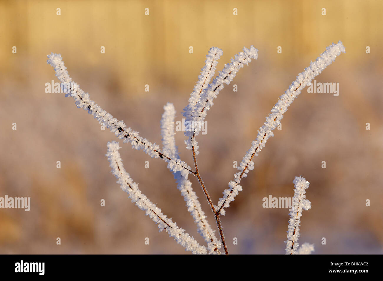 Moon dispersion hi-res stock photography and images - Alamy