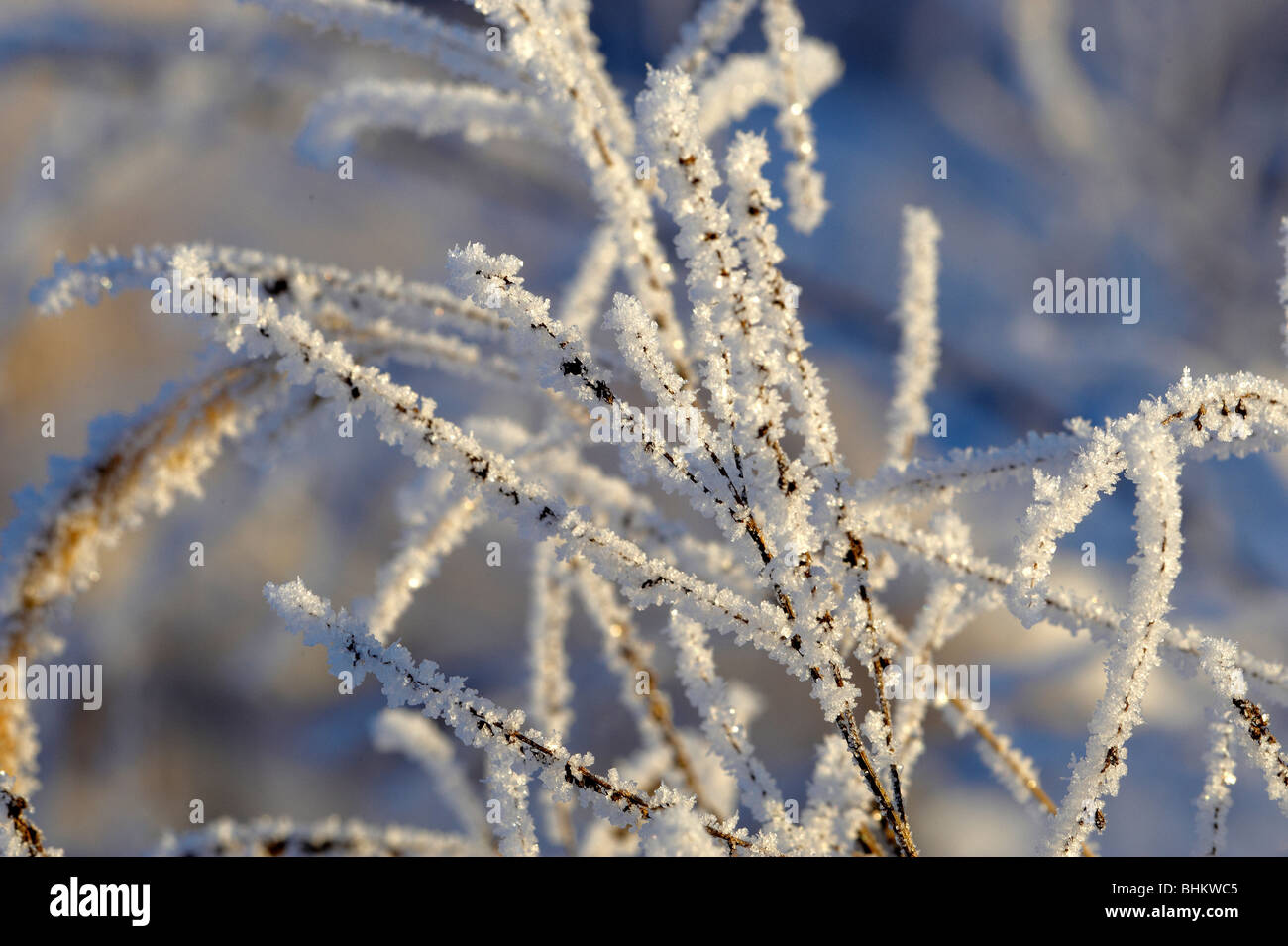 Moon dispersion hi-res stock photography and images - Alamy