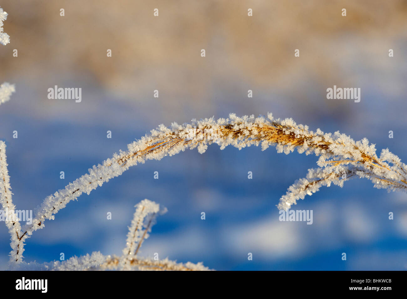 Moon dispersion hi-res stock photography and images - Alamy