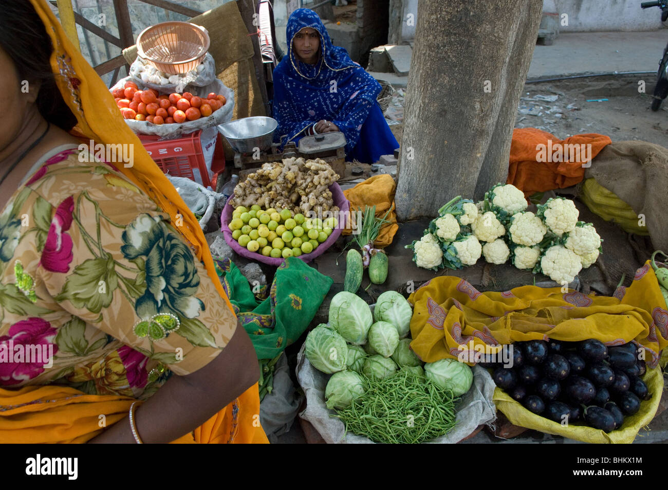 Vegetable seller, street market, Jaipur, Rajasthan, India Stock Photo ...