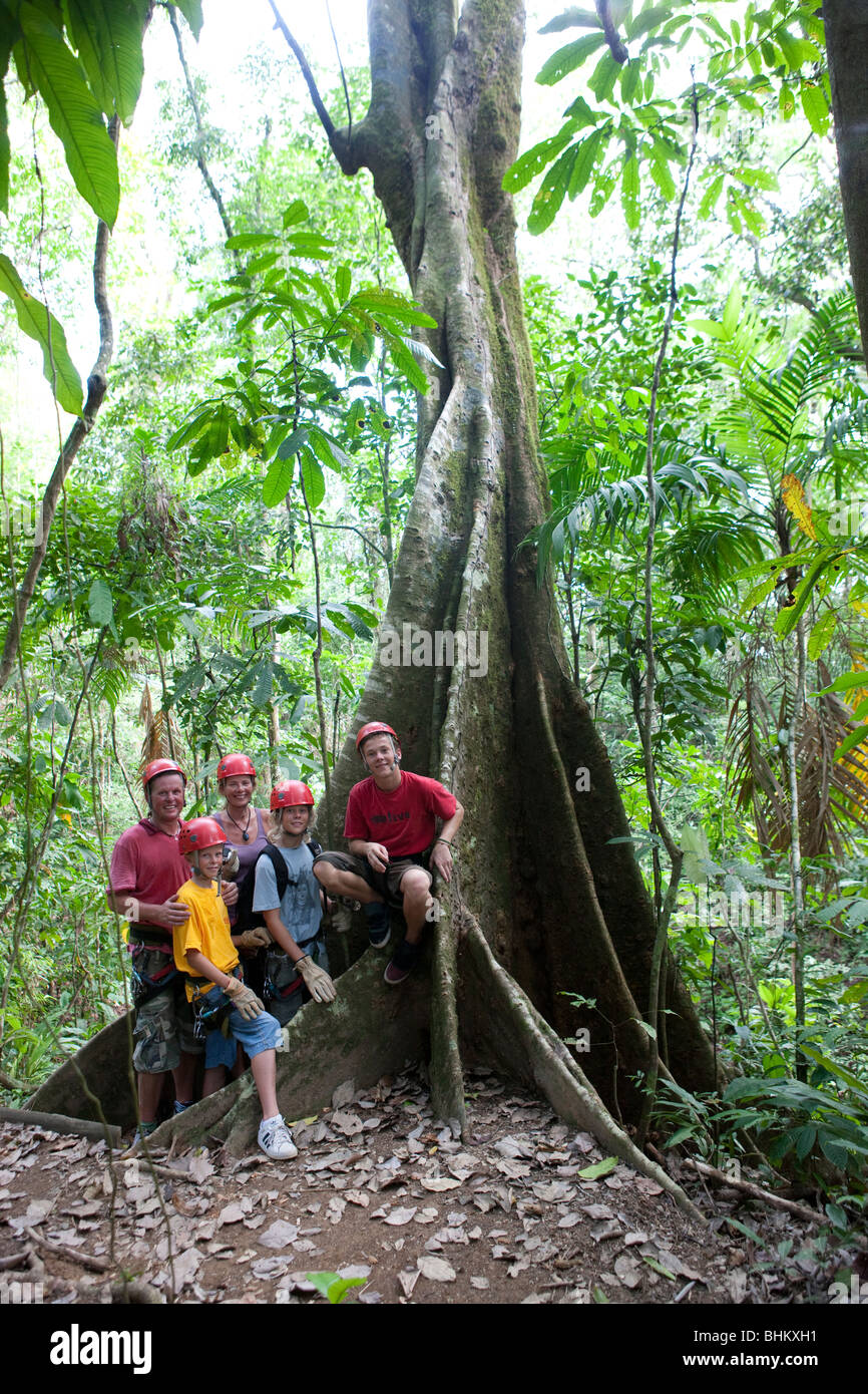 Ceiba tree in Hacienda Baru, Costa Rica Stock Photo - Alamy