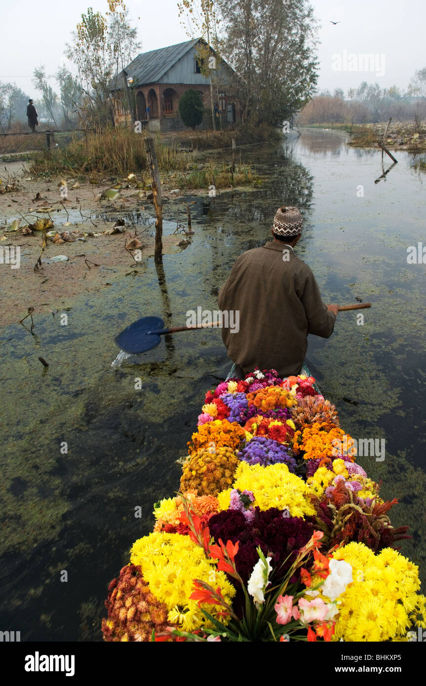 Floating Market workers, Dal Lake, Srinagar, Kashmir, India Stock Photo ...