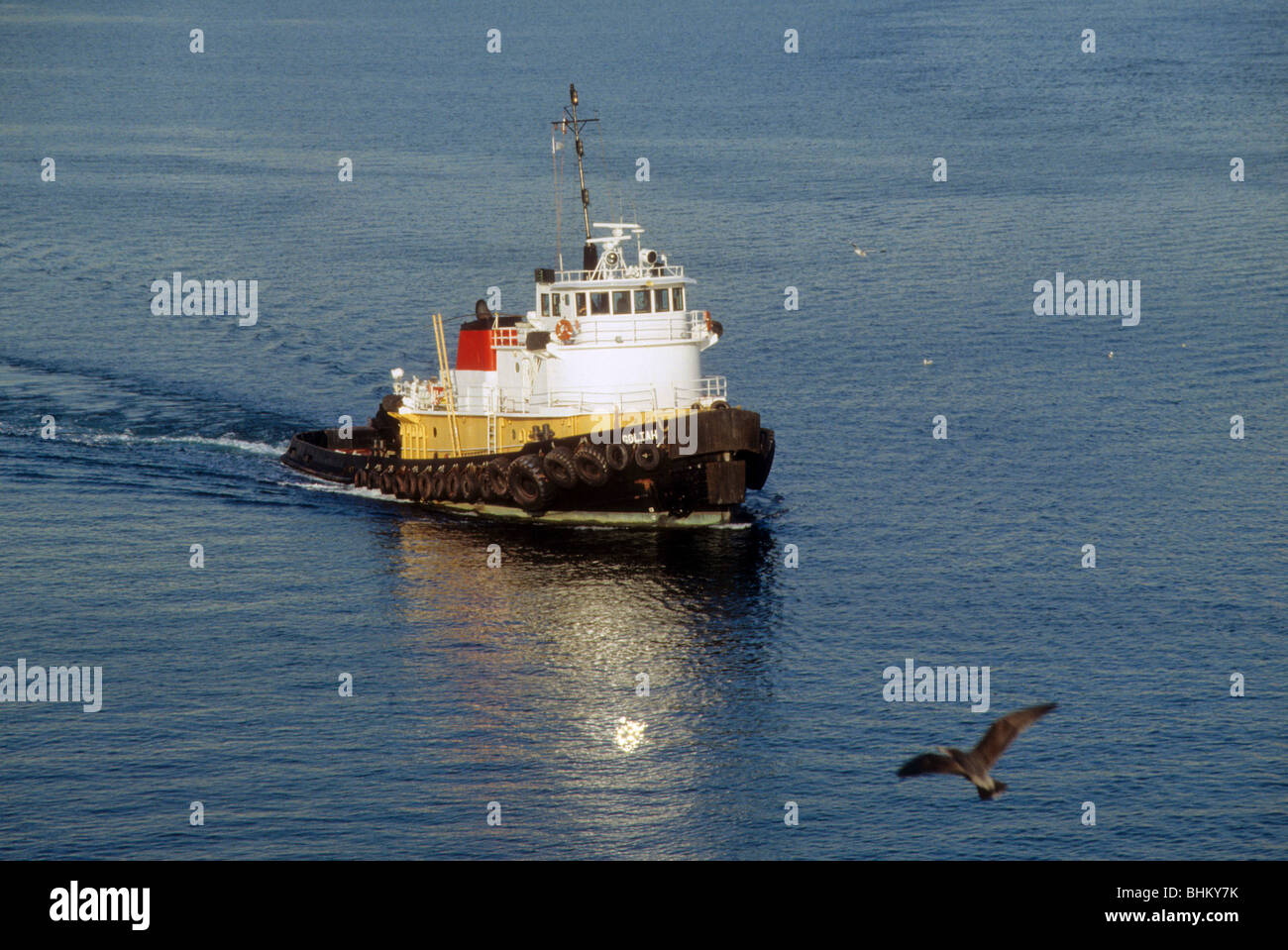 tug boat ocean sea water power control work bumper push shove move ...
