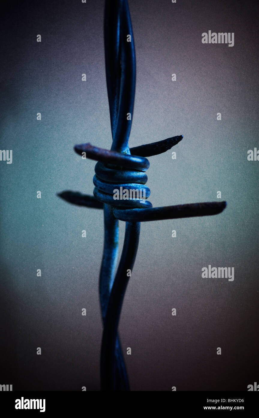 Close up of a barb wire Stock Photo - Alamy