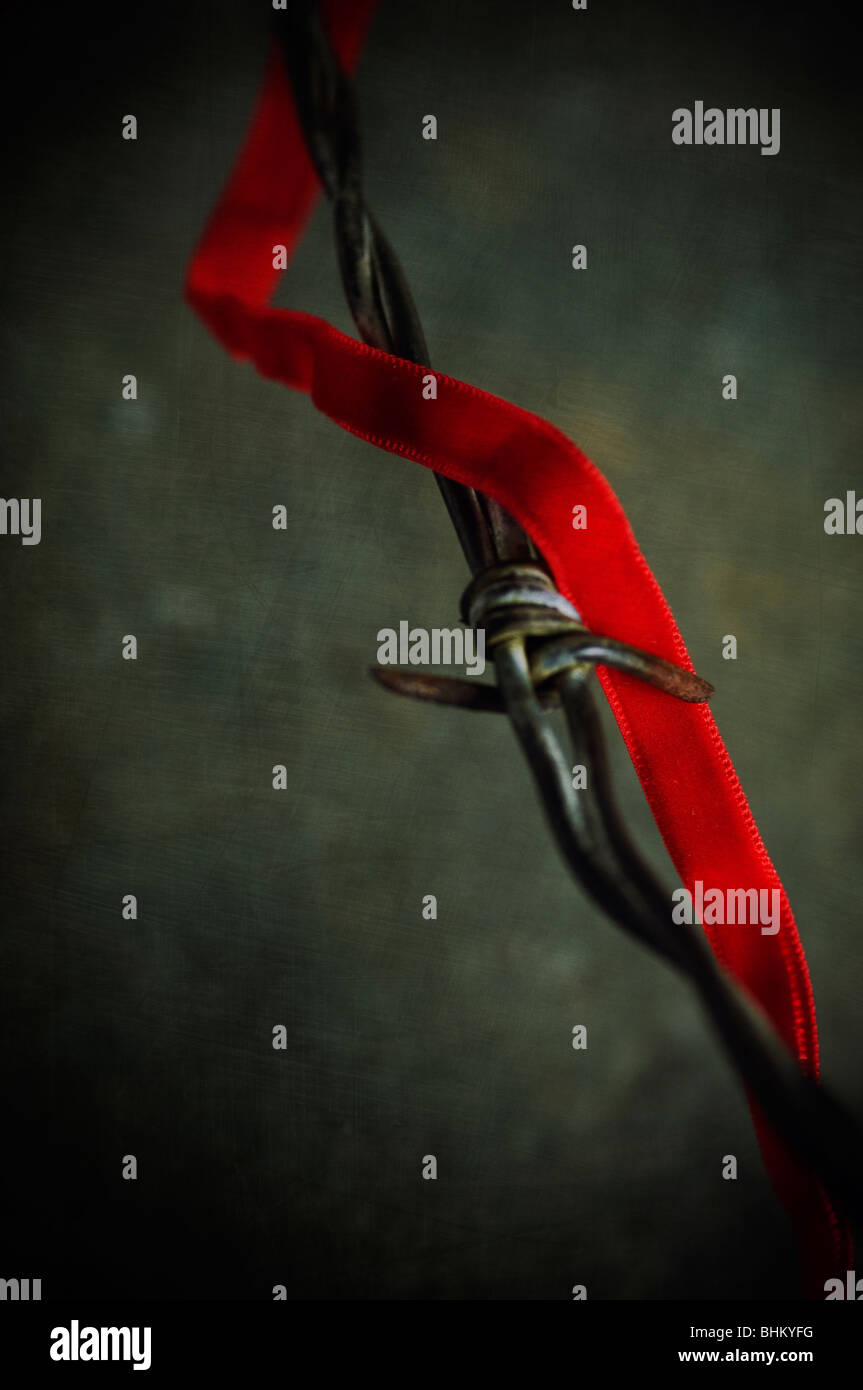 Piece of red ribbon trapped in a barb wire Stock Photo - Alamy