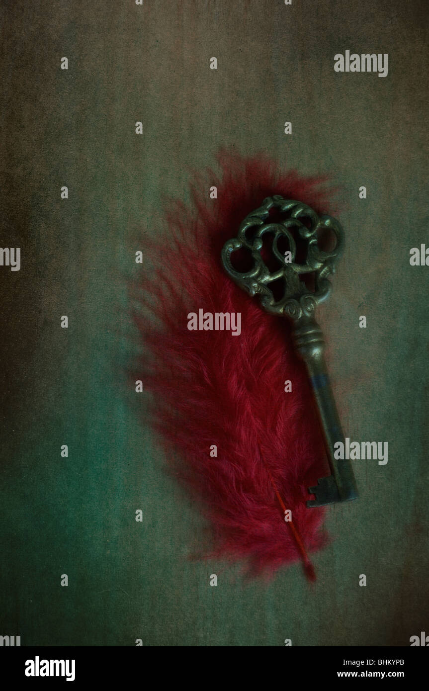 Feather keys hi-res stock photography and images - Alamy