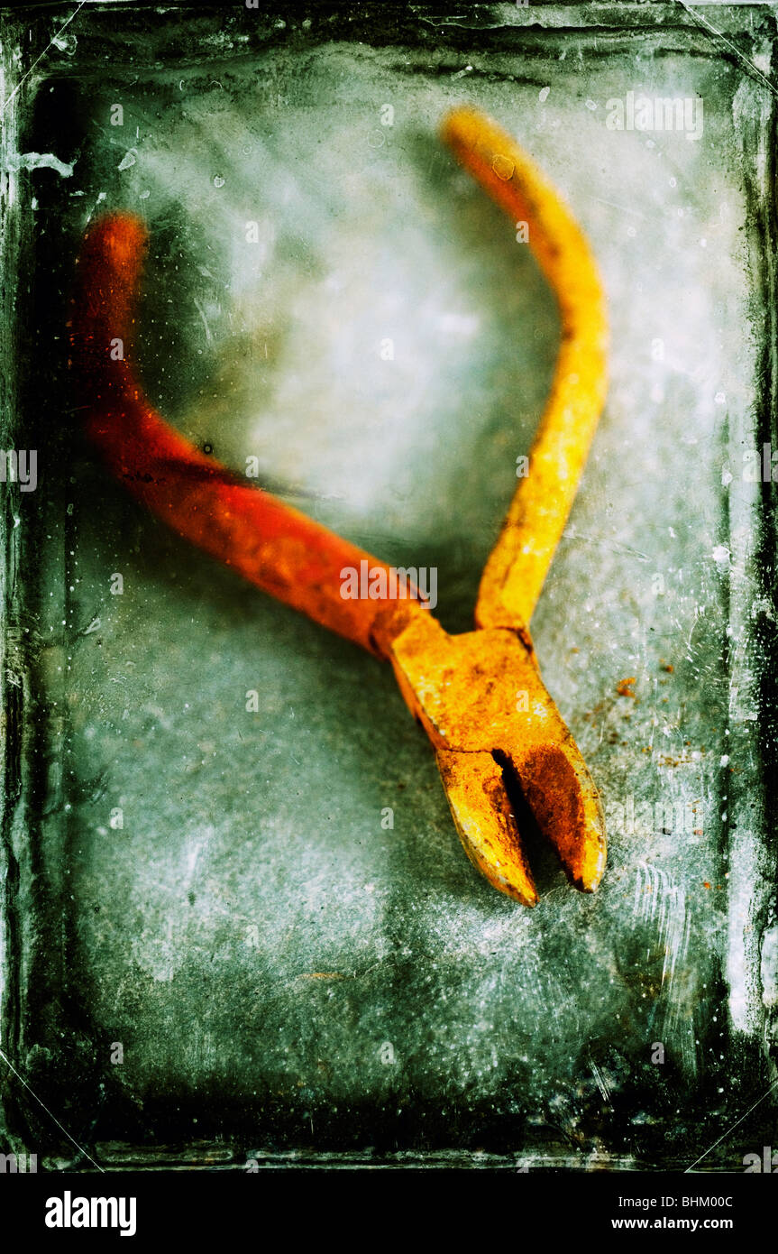 Old and rusty nail clippers Stock Photo - Alamy