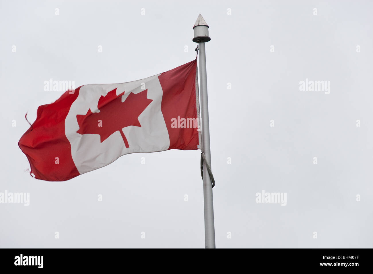 Canada flag maple leaf hi-res stock photography and images - Alamy