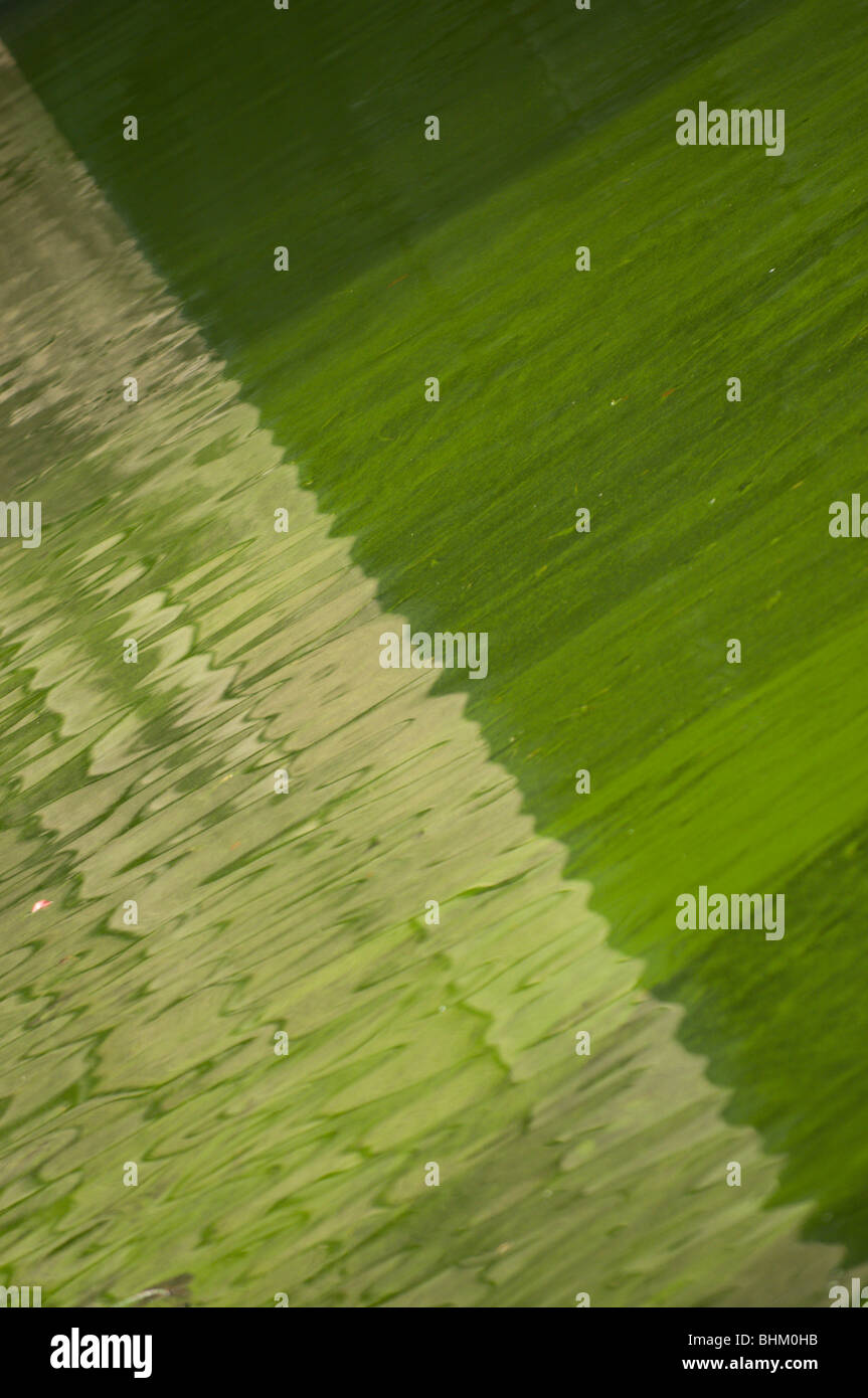 Green reflection partitioned by edge of moat wall Stock Photo - Alamy