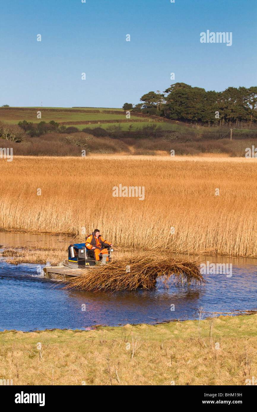 Reed Marsh Stock Photos & Reed Marsh Stock Images - Alamy