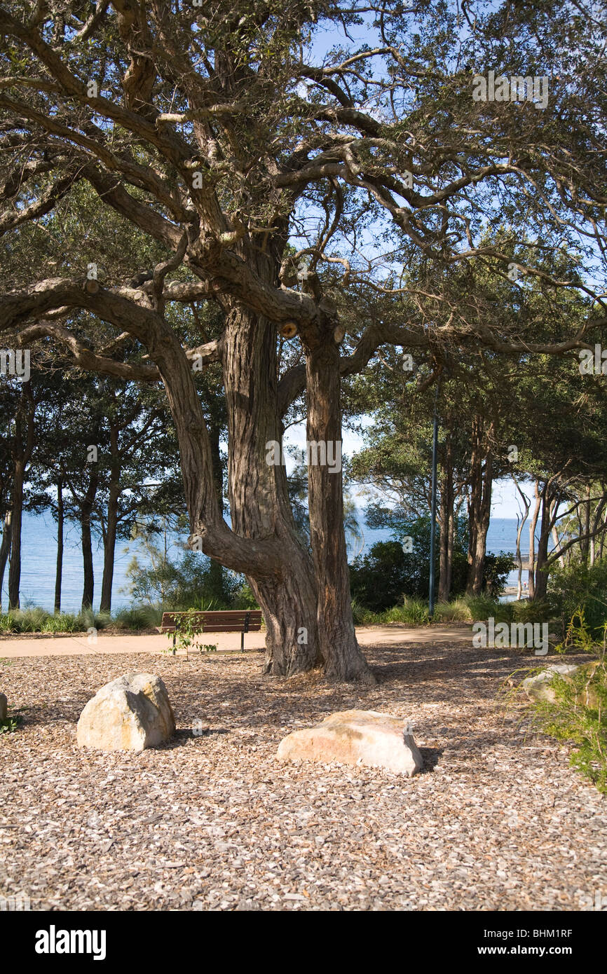 Huskisson new south wales australia hi-res stock photography and images ...