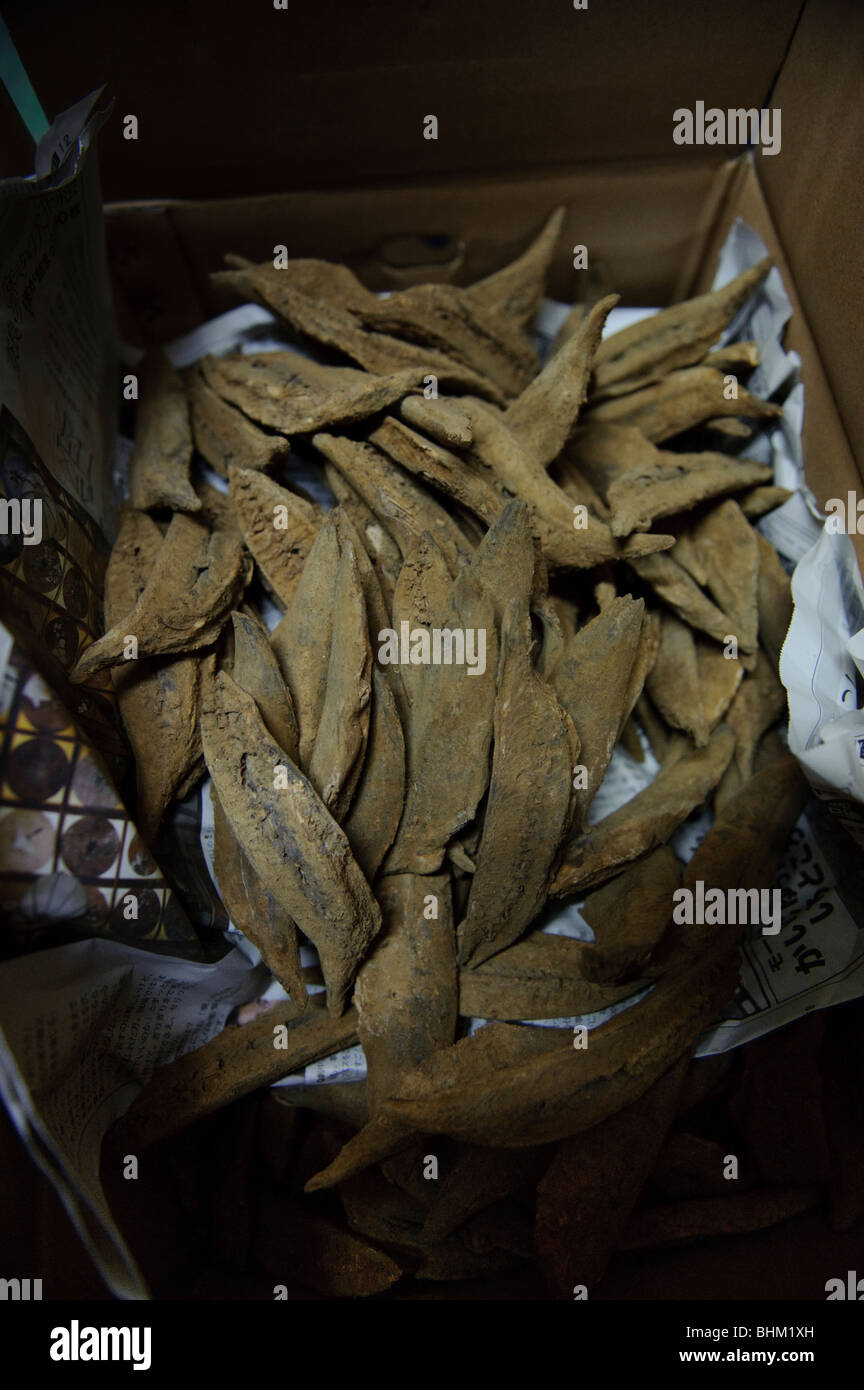 Soudabushi dried fish, Marusaya katsuobushi, Tokyo,Japan, February 20 ...