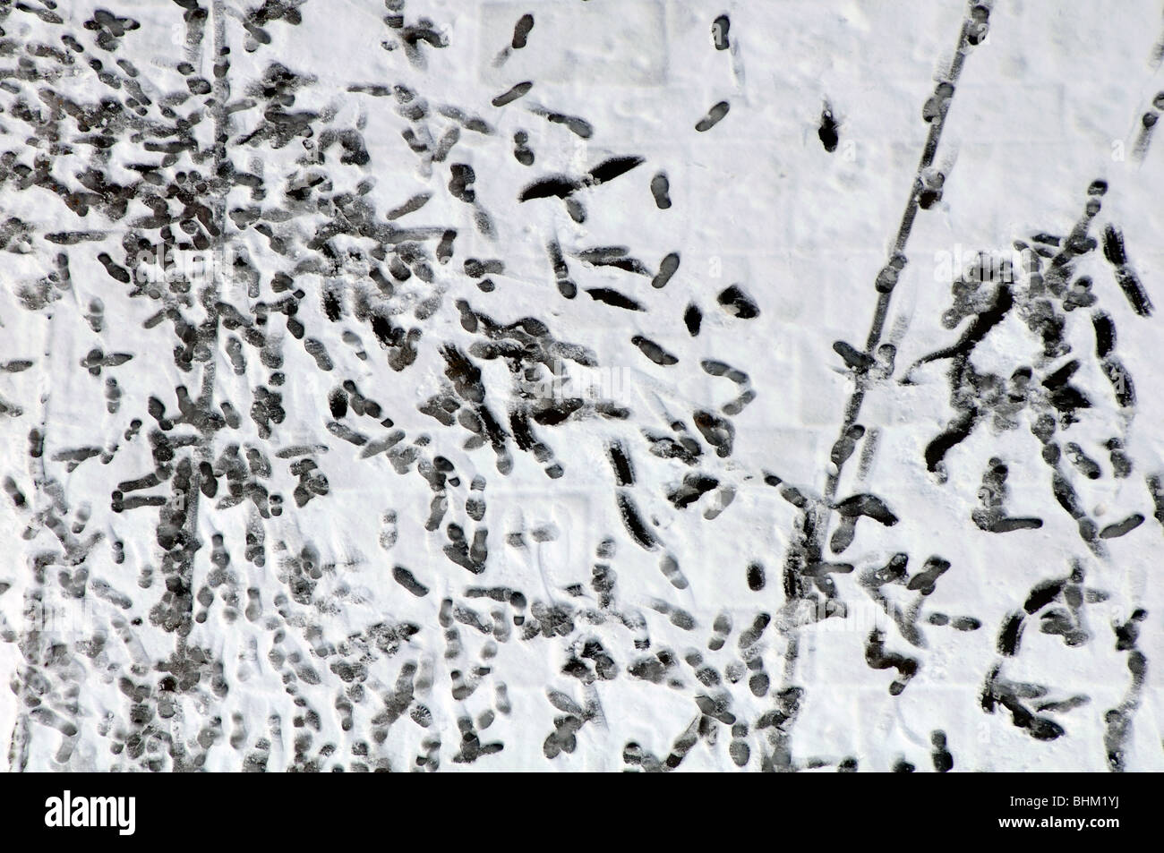 Aerial view of footprints in snow Stock Photo - Alamy