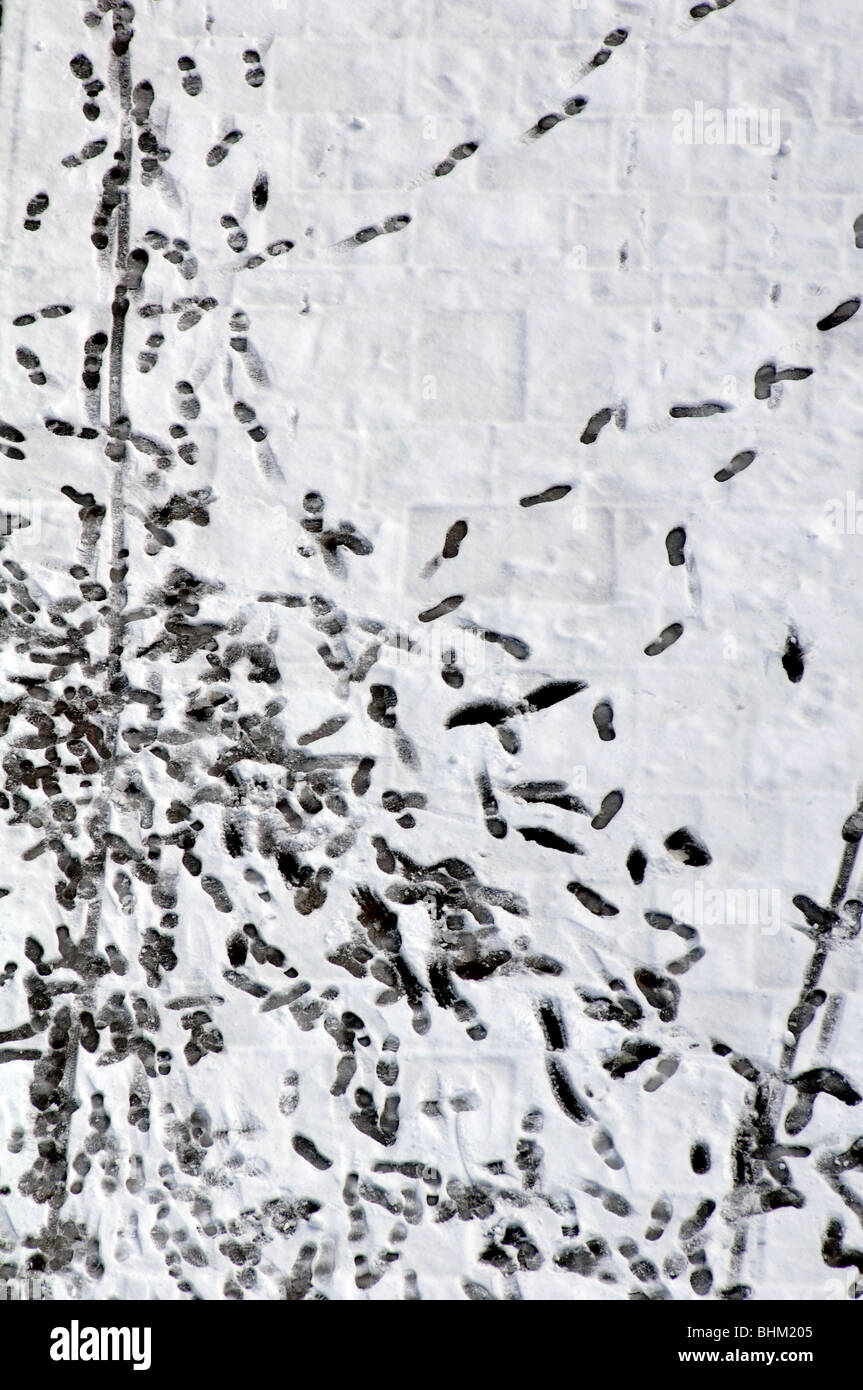 Aerial view of footprints in snow Stock Photo - Alamy