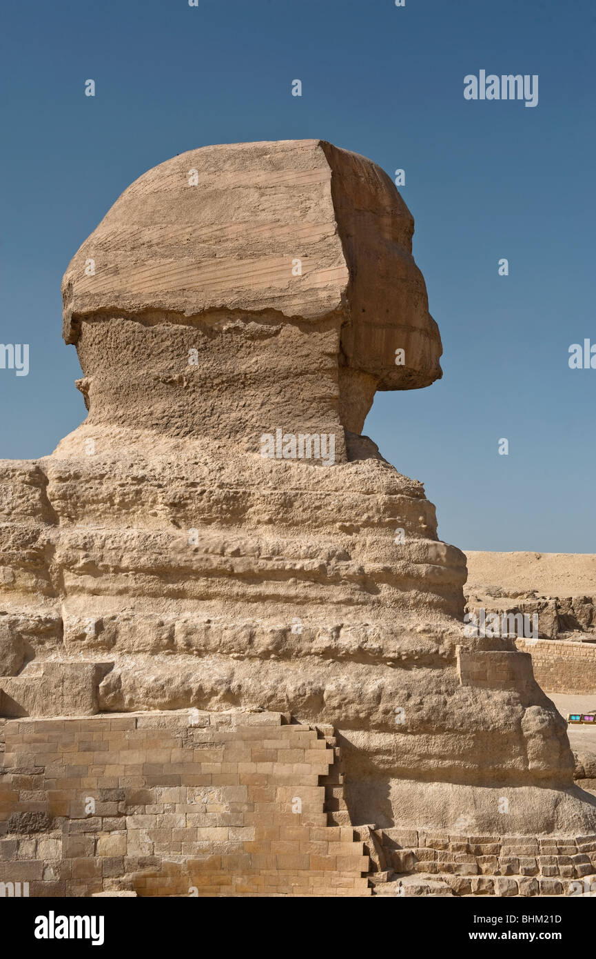 Side Profile of The Great Sphinx of Giza, Egypt Stock Photo - Alamy