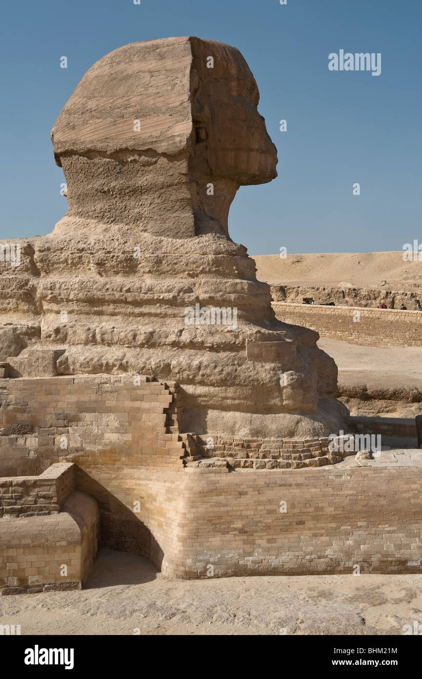 Side Profile of The Great Sphinx of Giza, Egypt Stock Photo - Alamy