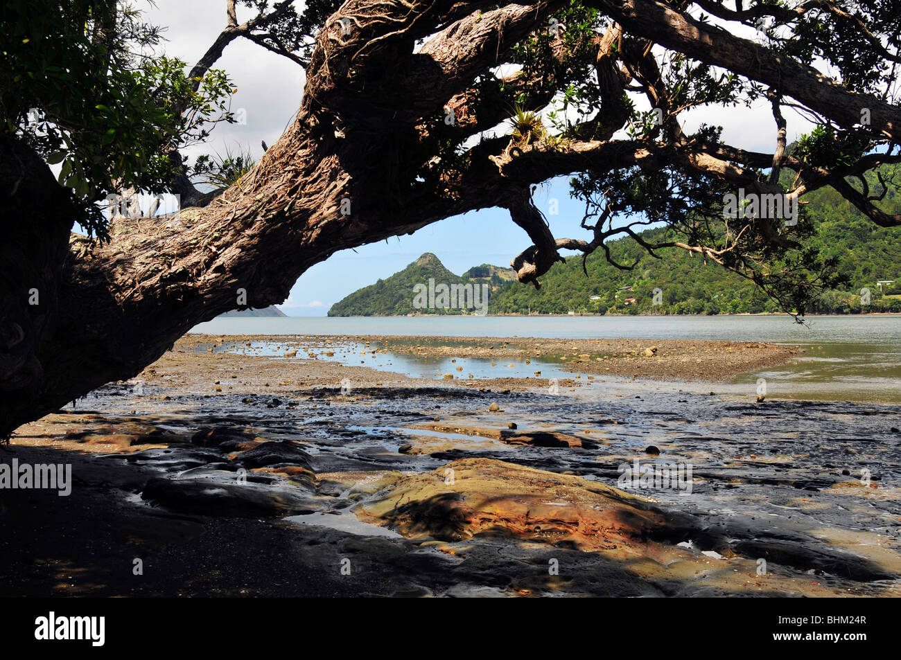 Huia bay hi-res stock photography and images - Alamy