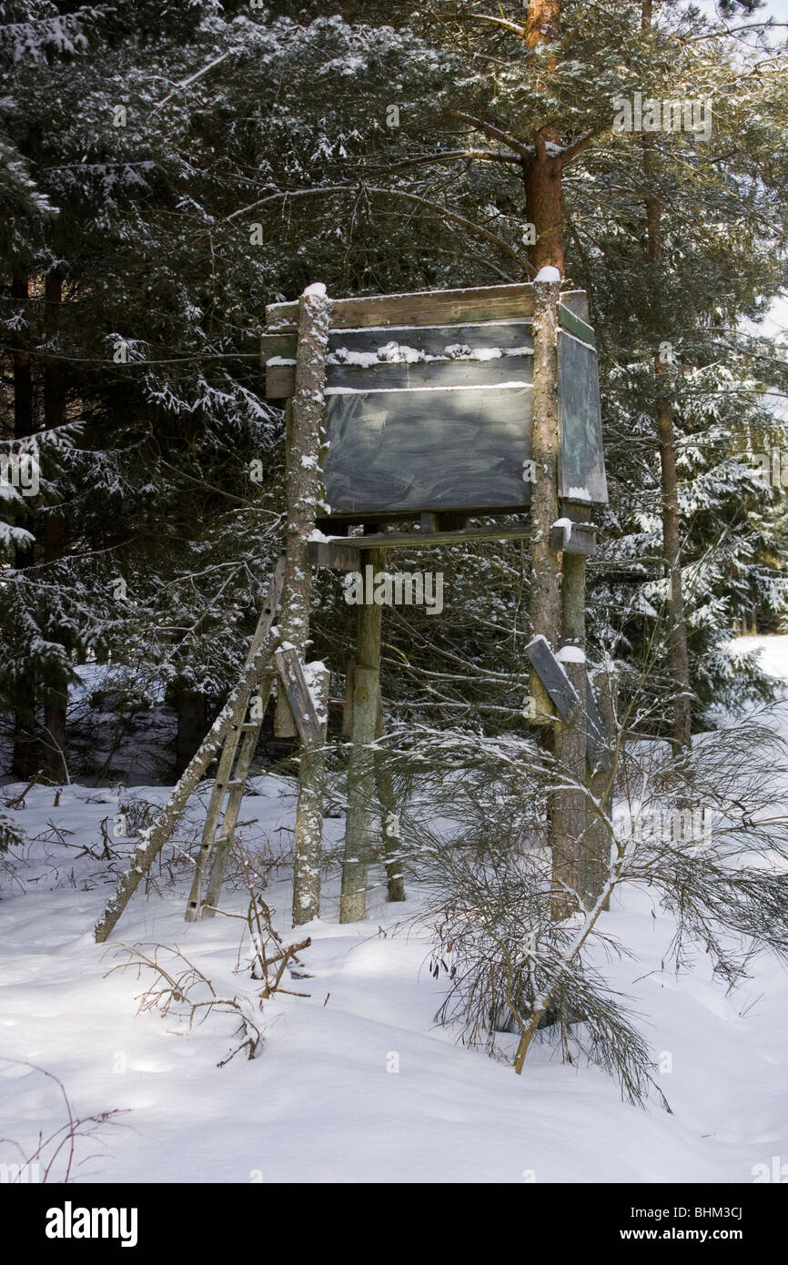 Hunters shelter in the forest Stock Photo - Alamy