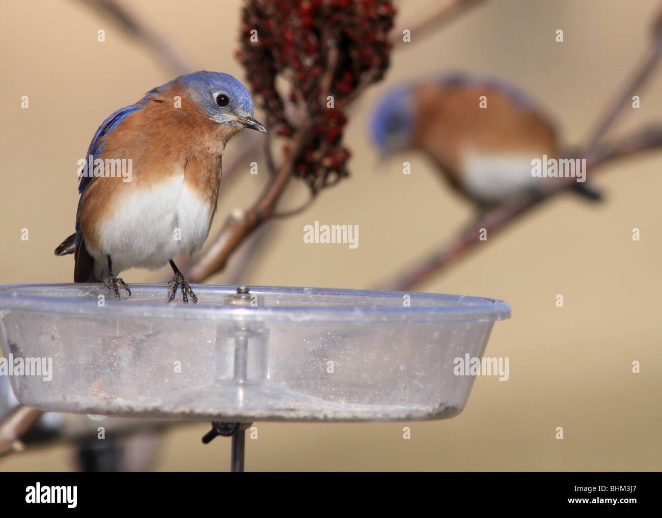 Eastern kentucky at kentucky hi-res stock photography and images - Alamy