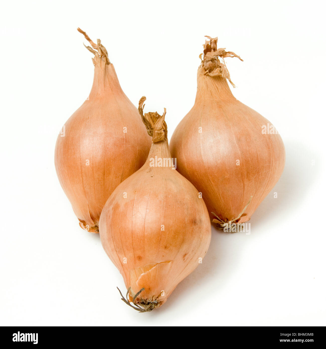 Shallot Line Up isolated against white background Stock Photo - Alamy