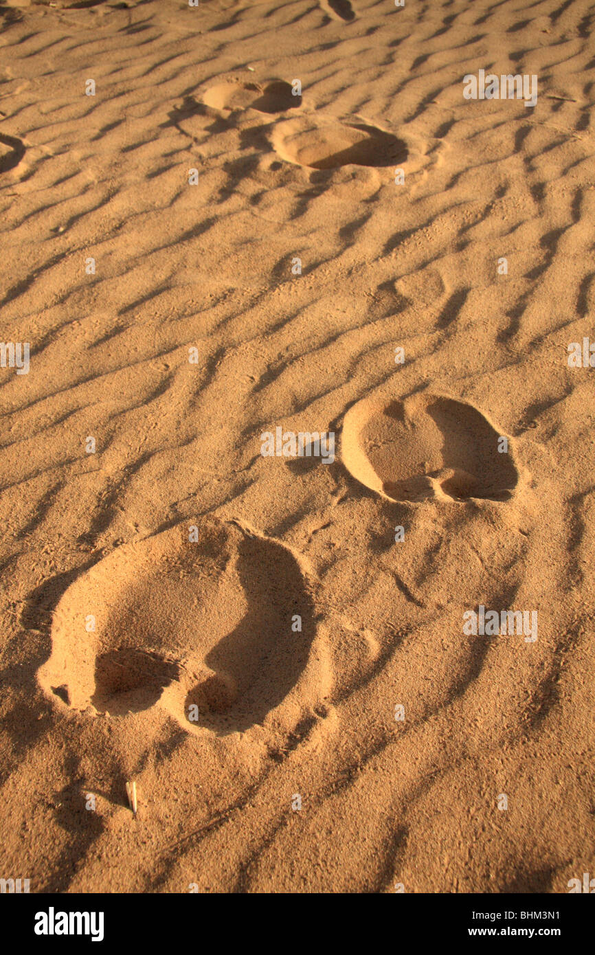 Camel footprints hi-res stock photography and images - Alamy