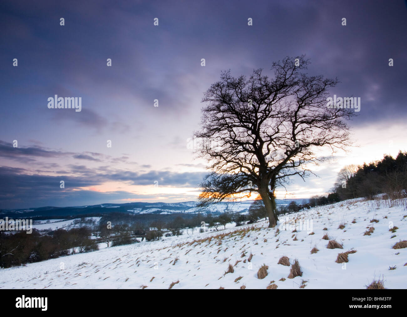 Freezing winter hi-res stock photography and images - Alamy